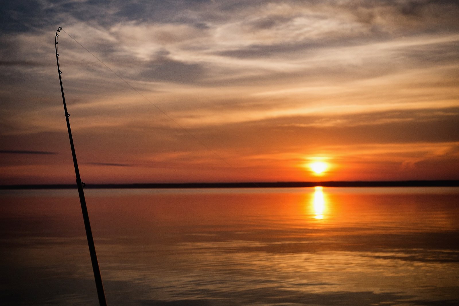 Best Fishing Rod Material: What’s the best one for you? – DailyFishers