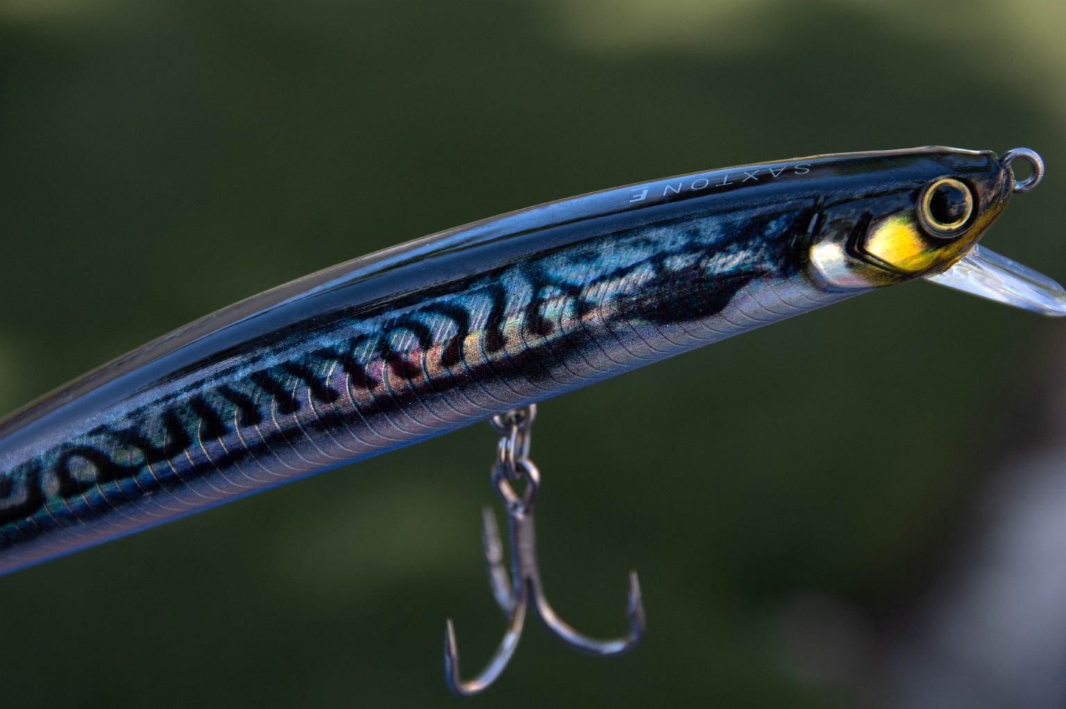 Best Baits for Striper Fishing: Top Picks and Techniques – DailyFishers