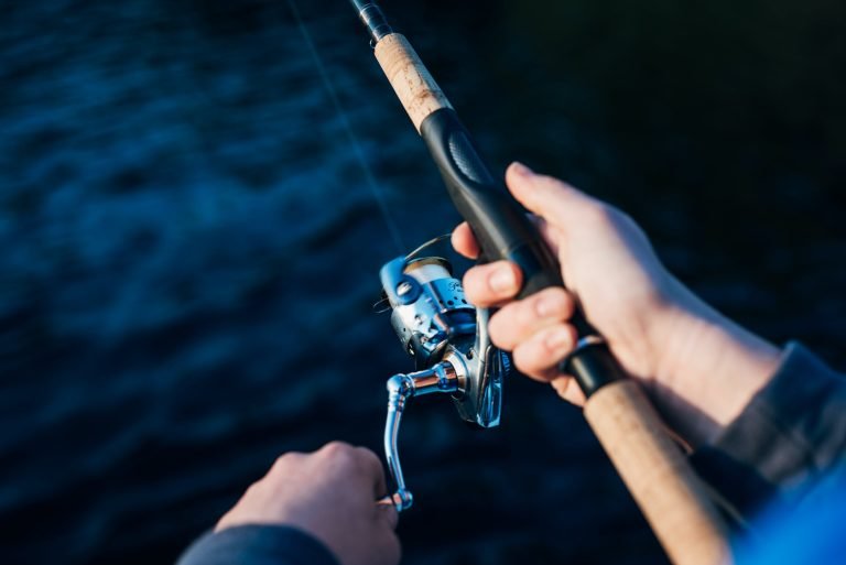 How to Choose a Fishing Reel: A Beginner’s Guide to Reeling in Success ...
