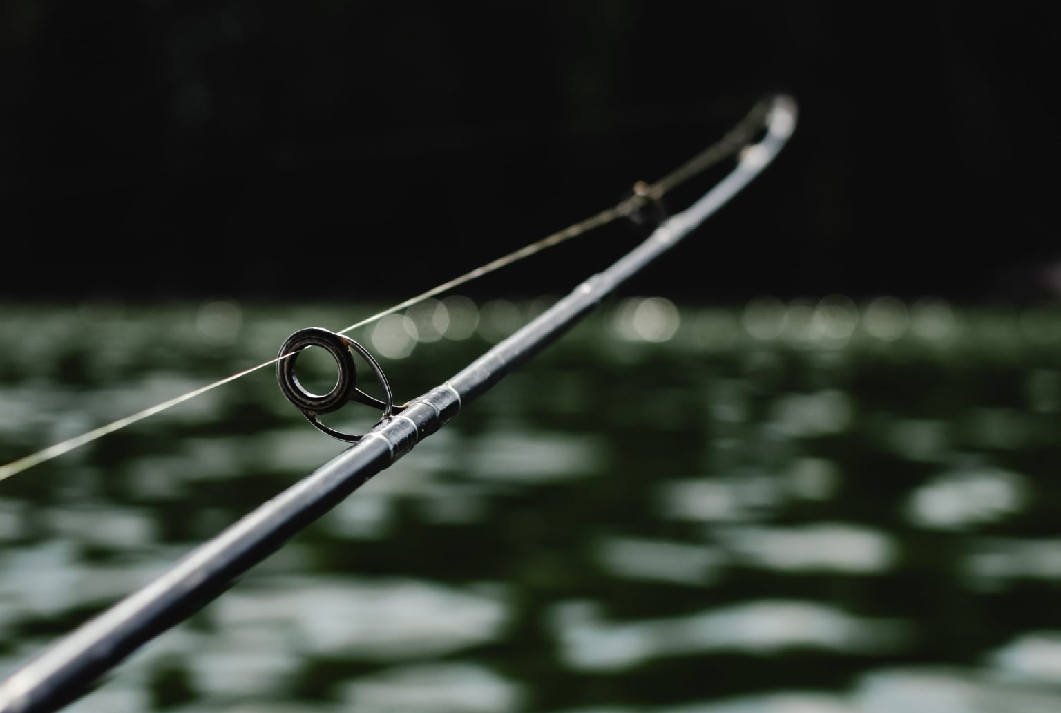 Best Fishing Line for Jigging: A Comprehensive Guide – DailyFishers
