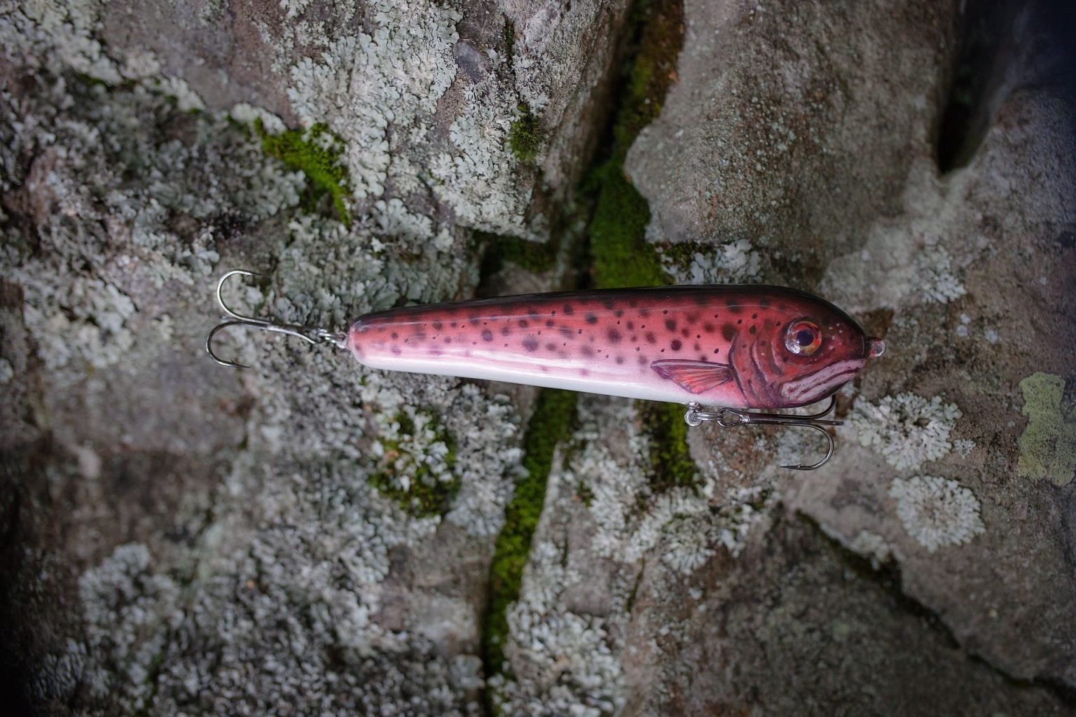 Best Fishing Rods for Jerkbaits: Top Picks for 2024 – DailyFishers