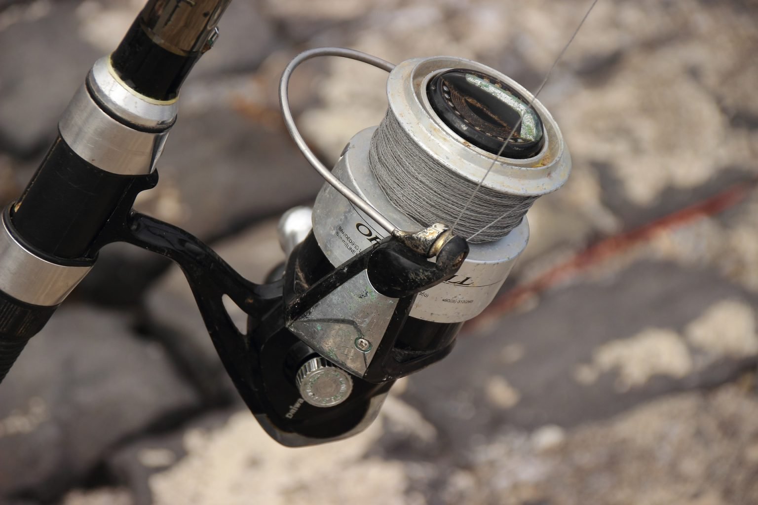 Does Fishing Line Color Even Matter in Saltwater? – Unpacking the Facts ...