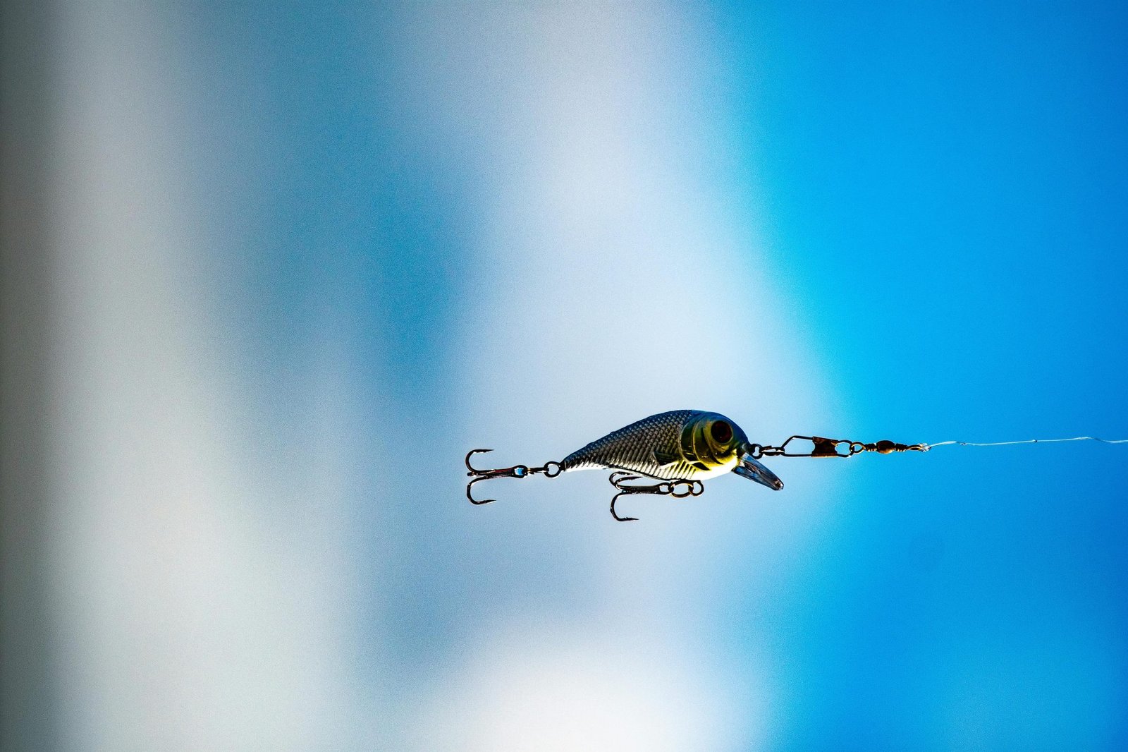 Best Fishing Line for Crankbaits: Braid Or Fluorocarbon? – DailyFishers