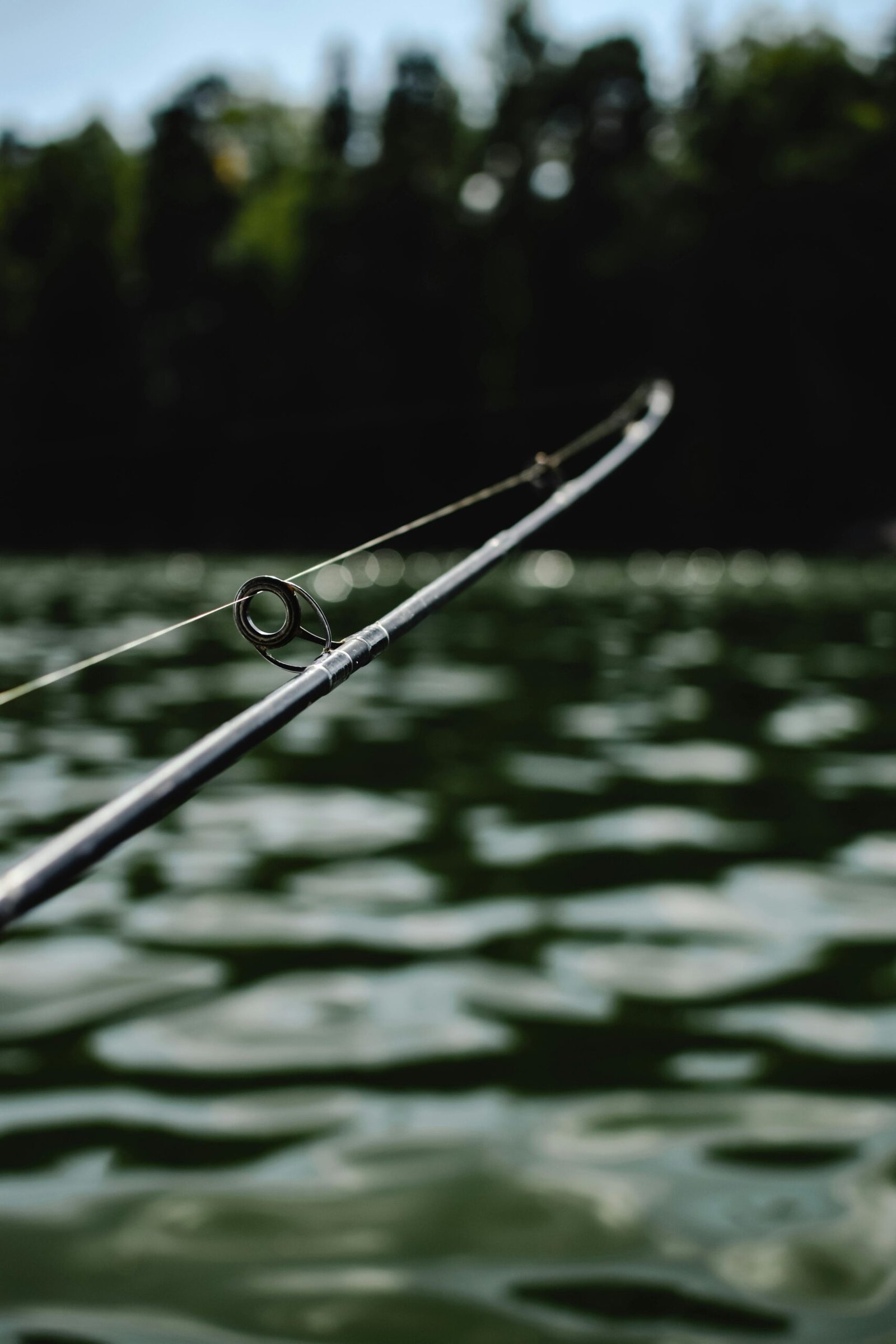 Best Fishing Line for Jerkbaits: Top Choices for a Smooth Cast ...