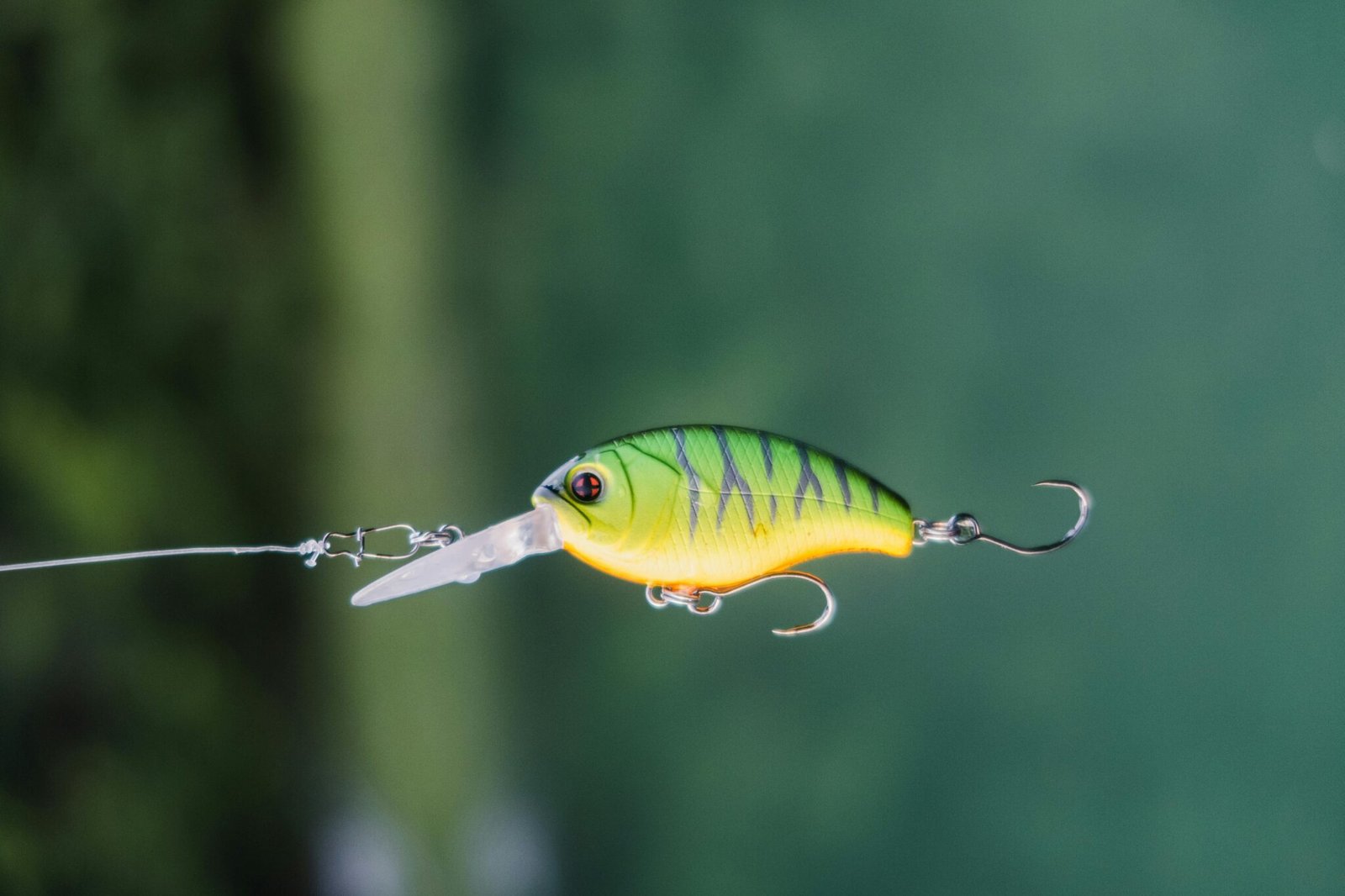 Best Bass Fishing Hooks: Top Picks for Every Situation – DailyFishers