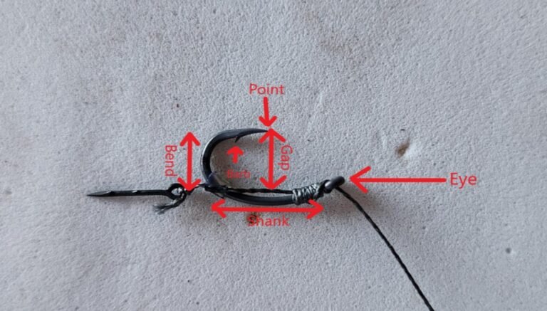 Fishing Hooks Explained: Your Guide to Catching More Fish – DailyFishers