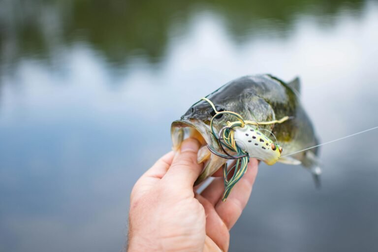 Fishing Hooks Explained: Your Guide to Catching More Fish – DailyFishers