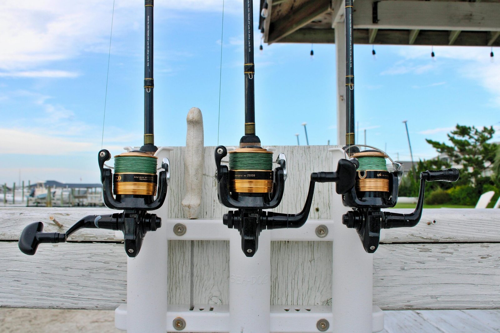 How to Choose a Fishing Reel: A Beginner’s Guide to Reeling in Success ...