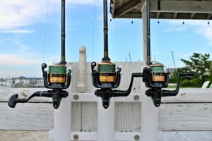 How to Choose a Fishing Reel: A Beginner’s Guide to Reeling in Success ...