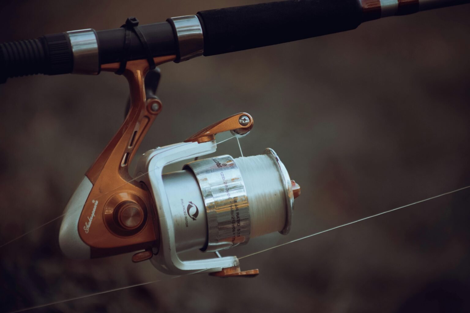 How to Choose a Fishing Reel: A Beginner’s Guide to Reeling in Success ...