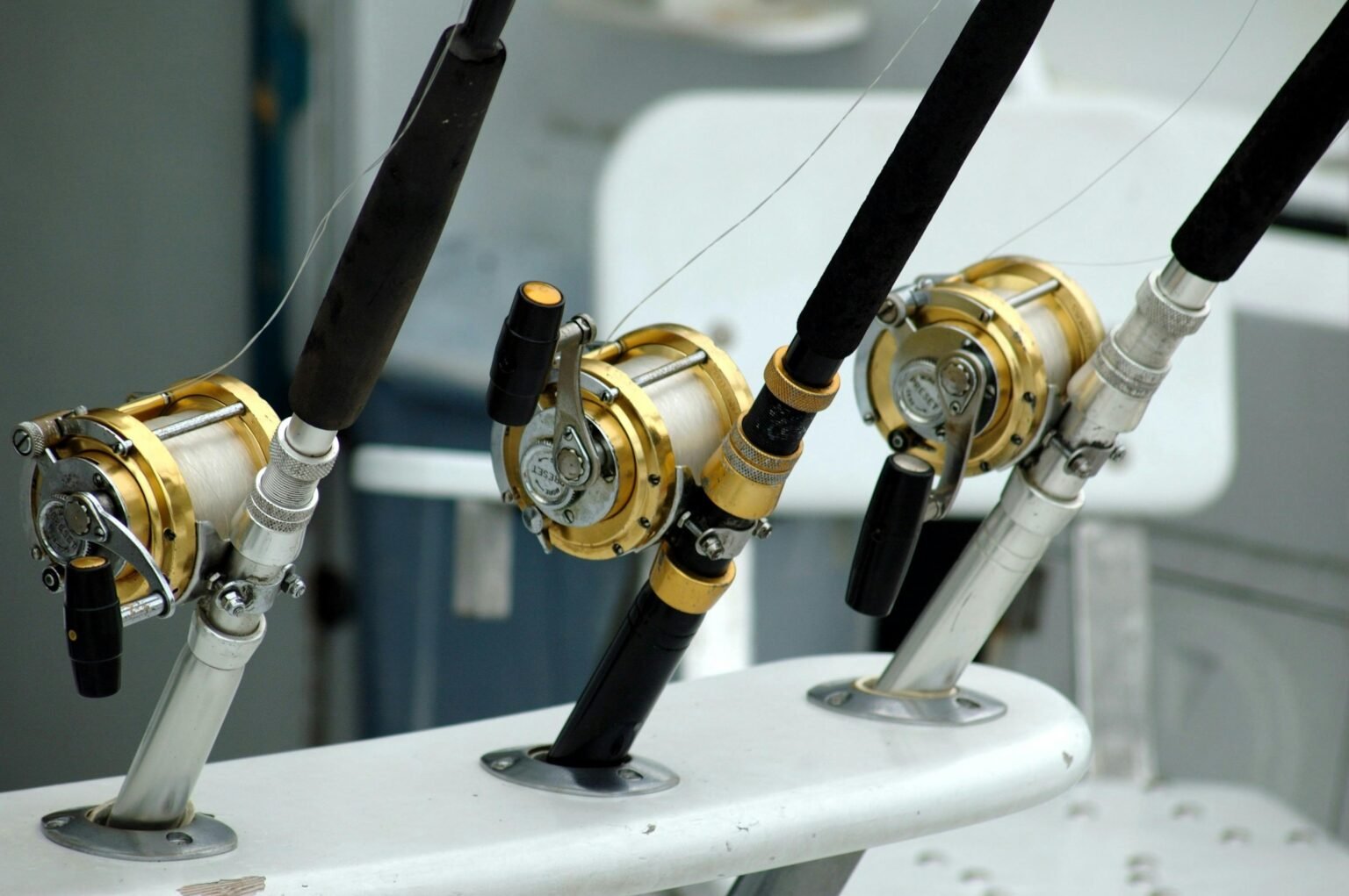How to Choose a Fishing Reel: A Beginner’s Guide to Reeling in Success ...