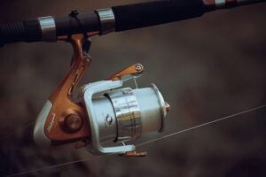 How to Choose a Fishing Reel: A Beginner’s Guide to Reeling in Success ...