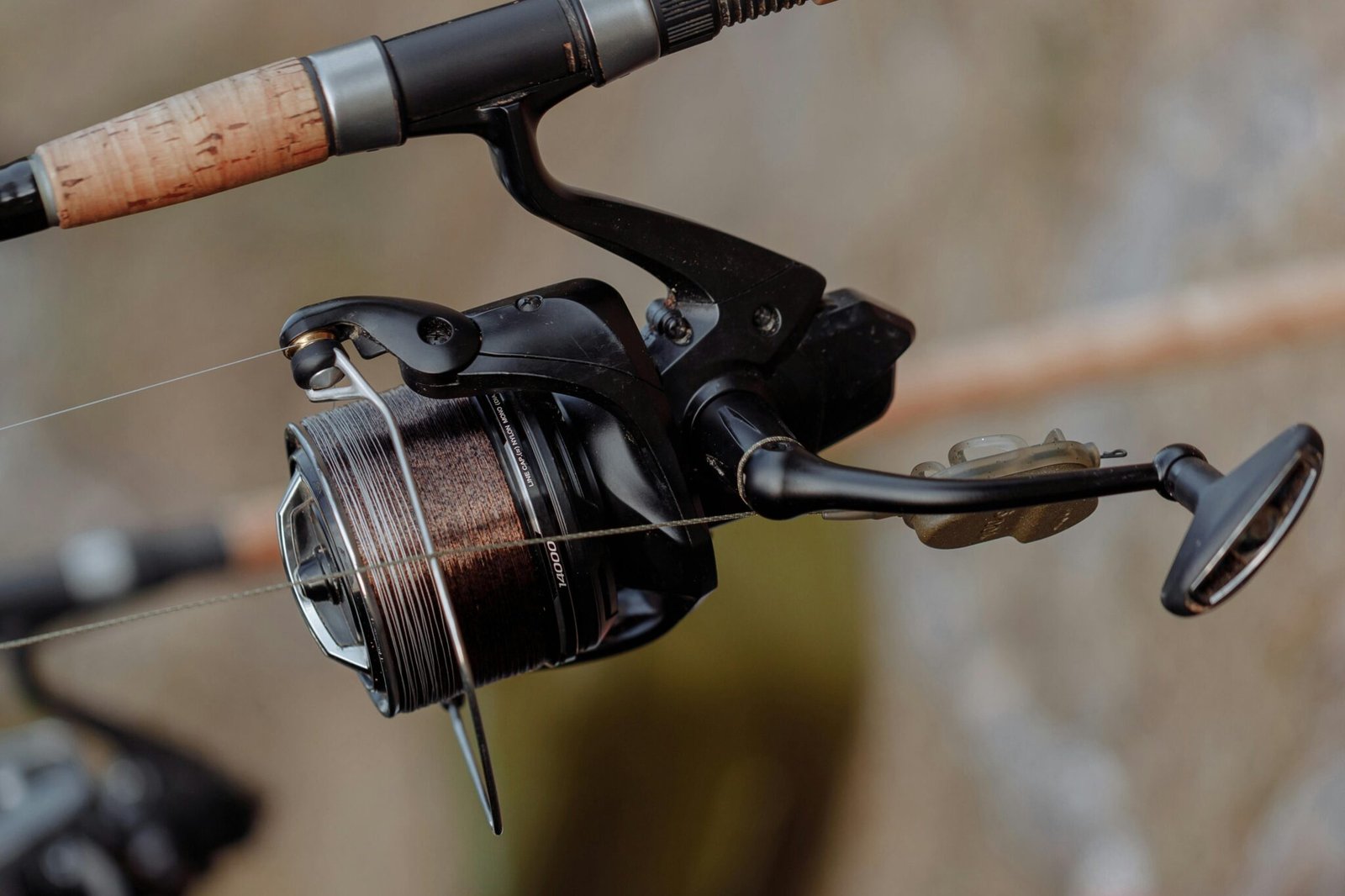 How to Choose a Fishing Reel: A Beginner’s Guide to Reeling in Success ...