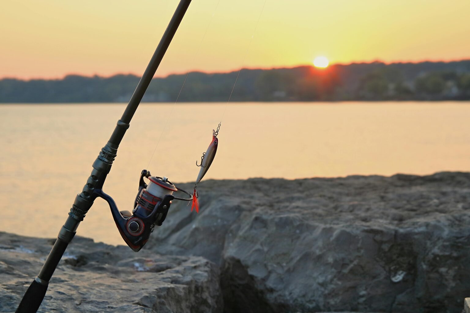 How to Choose a Fishing Reel: A Beginner’s Guide to Reeling in Success ...