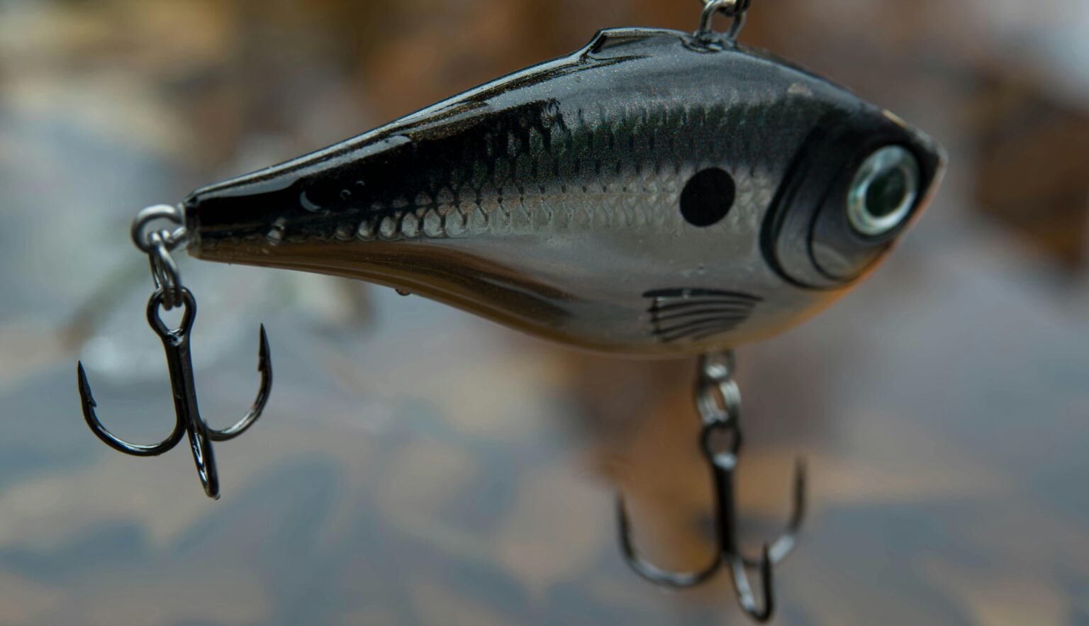 Fishing Hooks Explained: Your Guide to Catching More Fish – DailyFishers